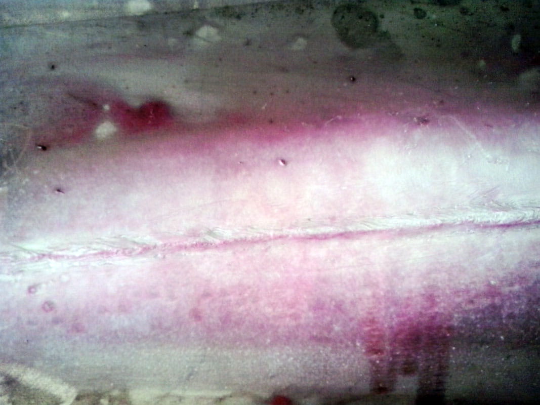 LIQUID PENETRANT TESTING (PT) – فولاد سنجش سپاهان LIQUID PENETRANT TESTING (PT) – فولاد سنجش سپاهان